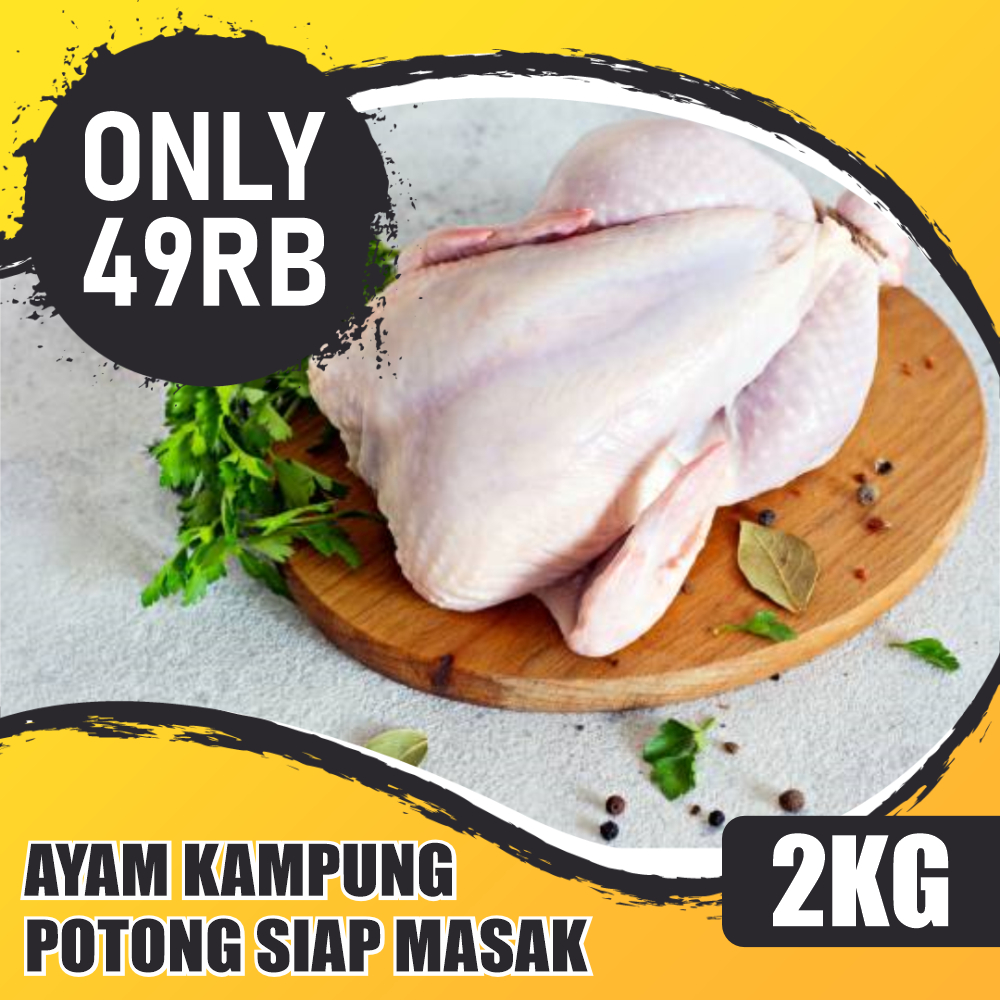 Jual Ayam Kampung Potong Atau Hidup Ayam Kampung Asli Fresh No Frozen