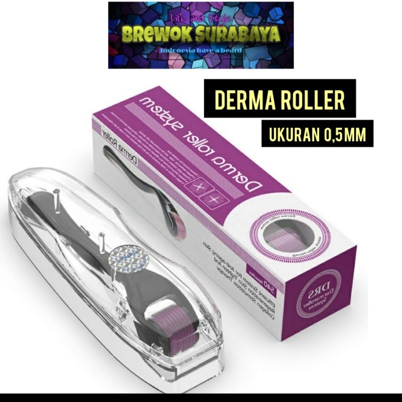 Jual Dermaroller System 0,5mm | Shopee Indonesia