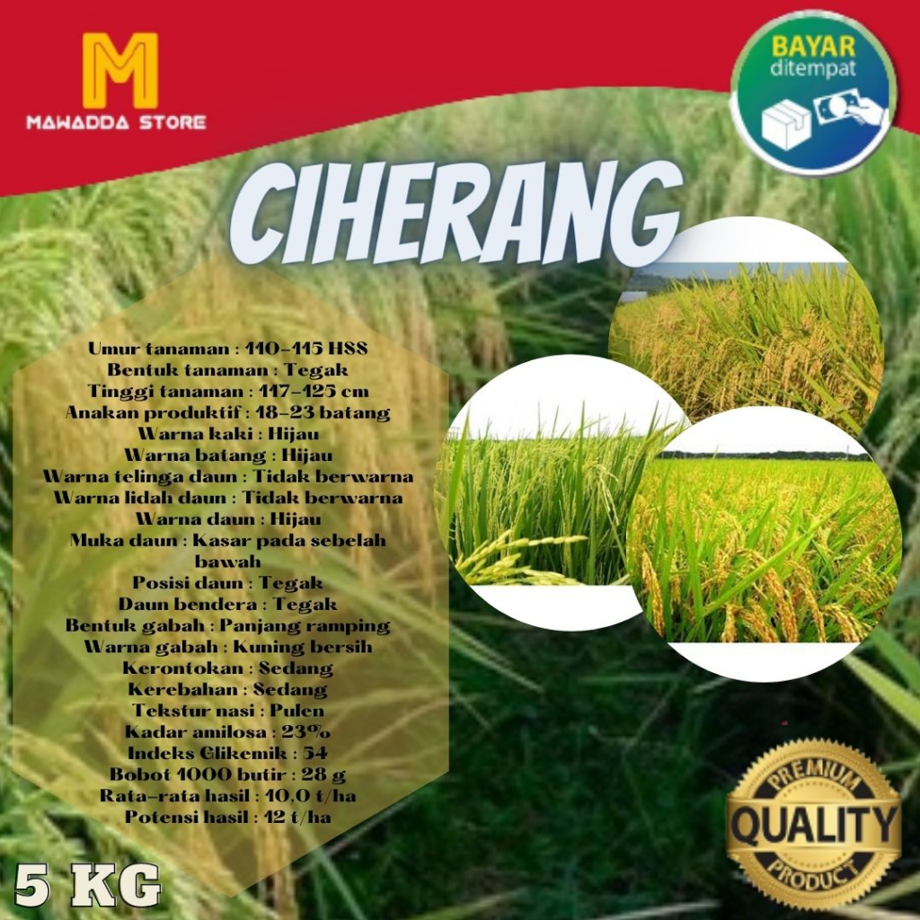 Jual Biji Padi Ciherang Bibit Unggul Kemasan 5KG | Shopee Indonesia