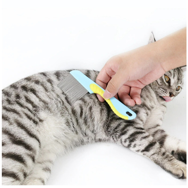 Jual SISIR KUTU KUCING GAGANG SISIR KETOMBE KUCING SISIR KUTU ANJING ...