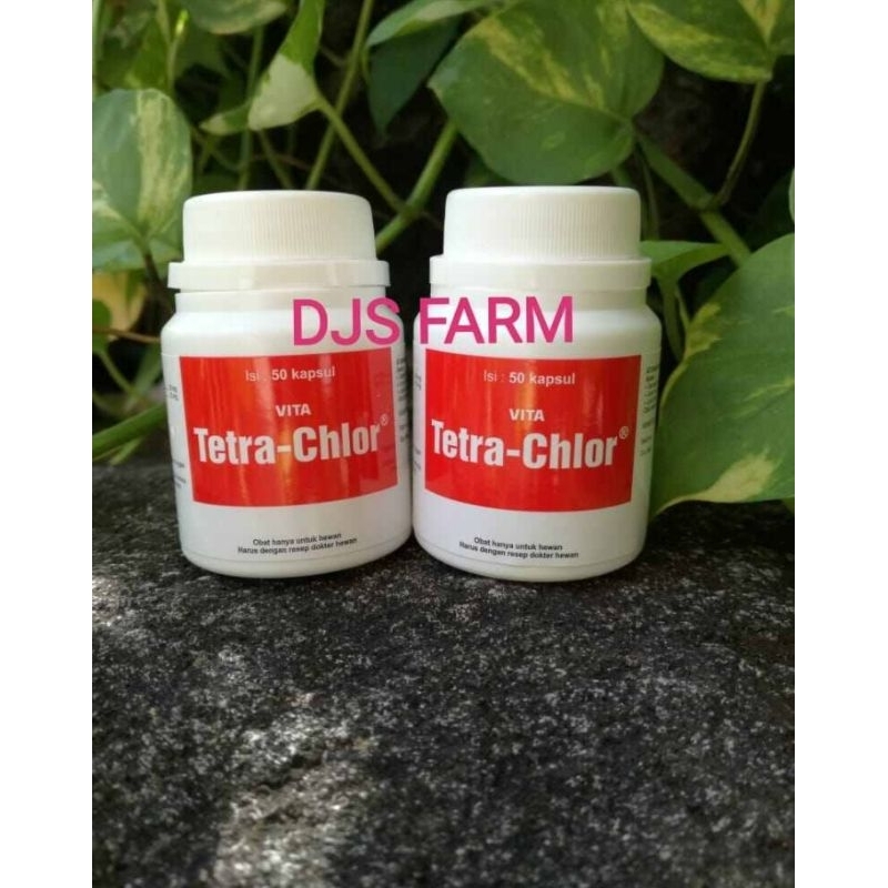 Jual Vita Tetrachlor isi 50 Medion Tetra Chlor Tetraklor Tetraclor ...