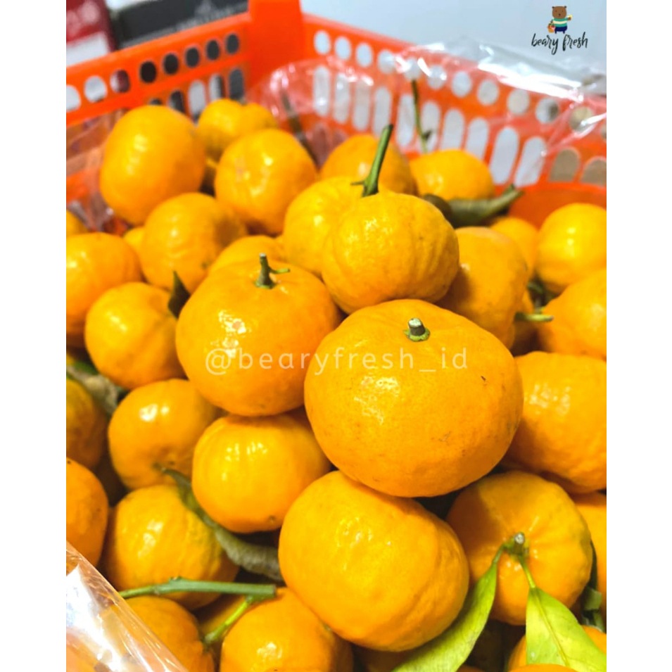 Jual Jeruk Shantang Daun @1Kg | Shopee Indonesia