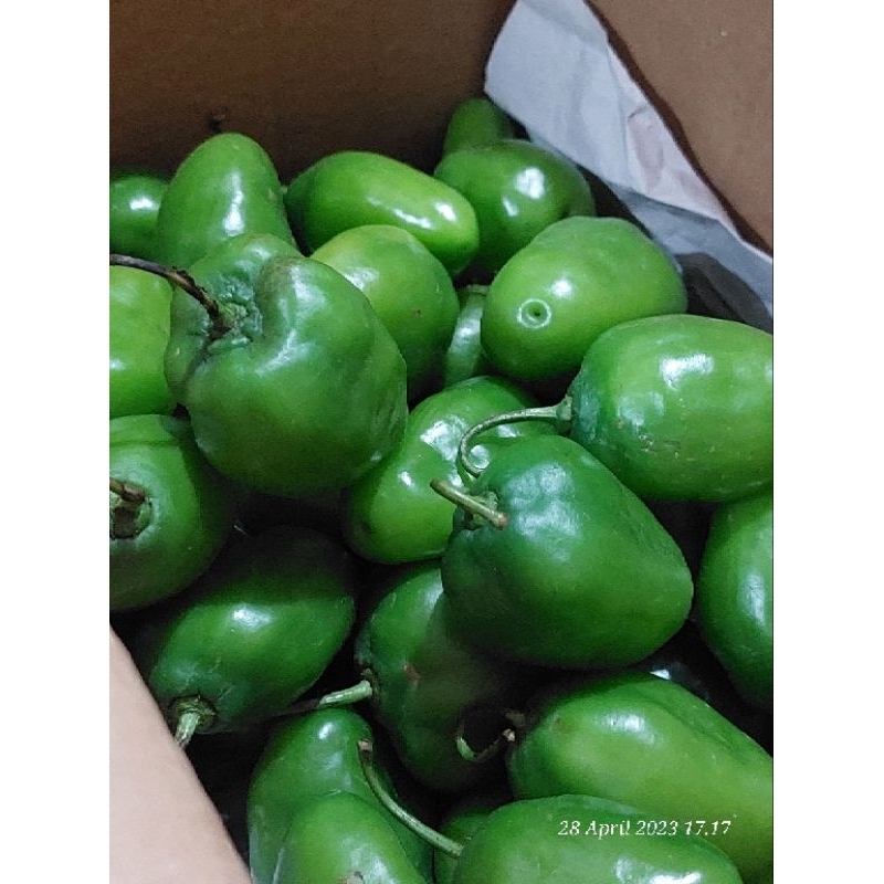 Jual Cabai / Cabe Gendot / Cabe ciwidey / Cabe Gendut / Cabe Fresh dari ...