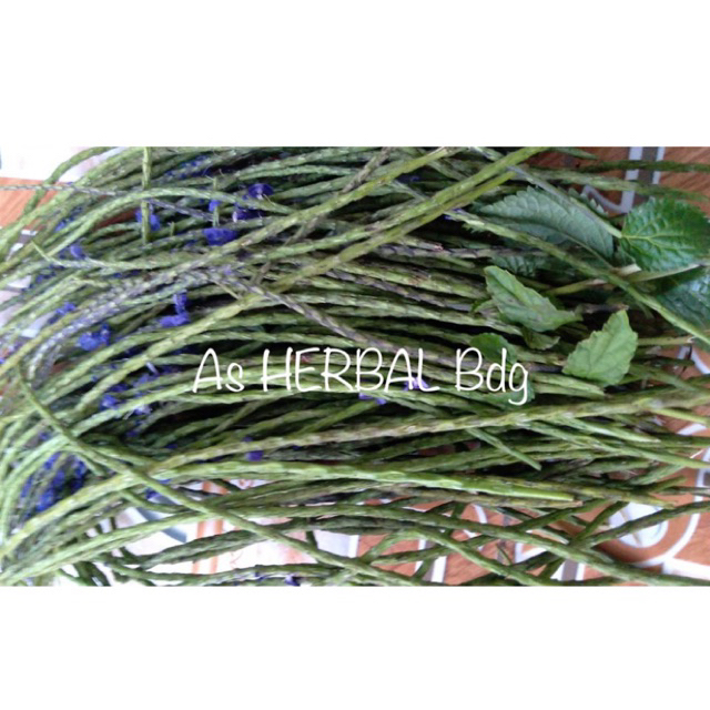 Jual Bunga jarong / bunga pecut kuda segar 250 gram | Shopee Indonesia