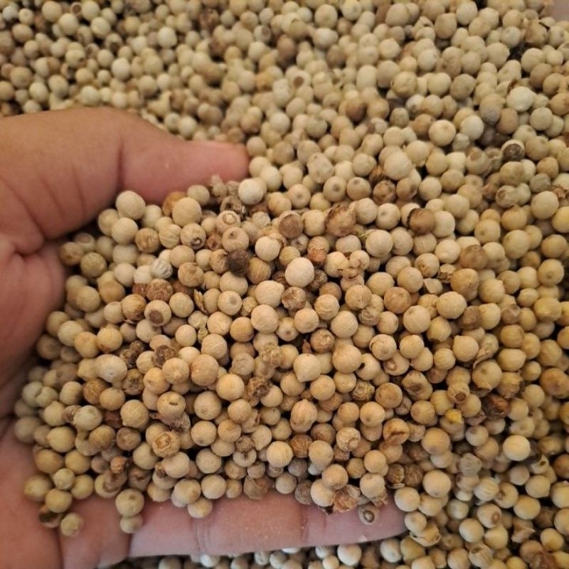 Jual Lada bulat asli kualitas premium 250 gram| Lada butiran asli ...