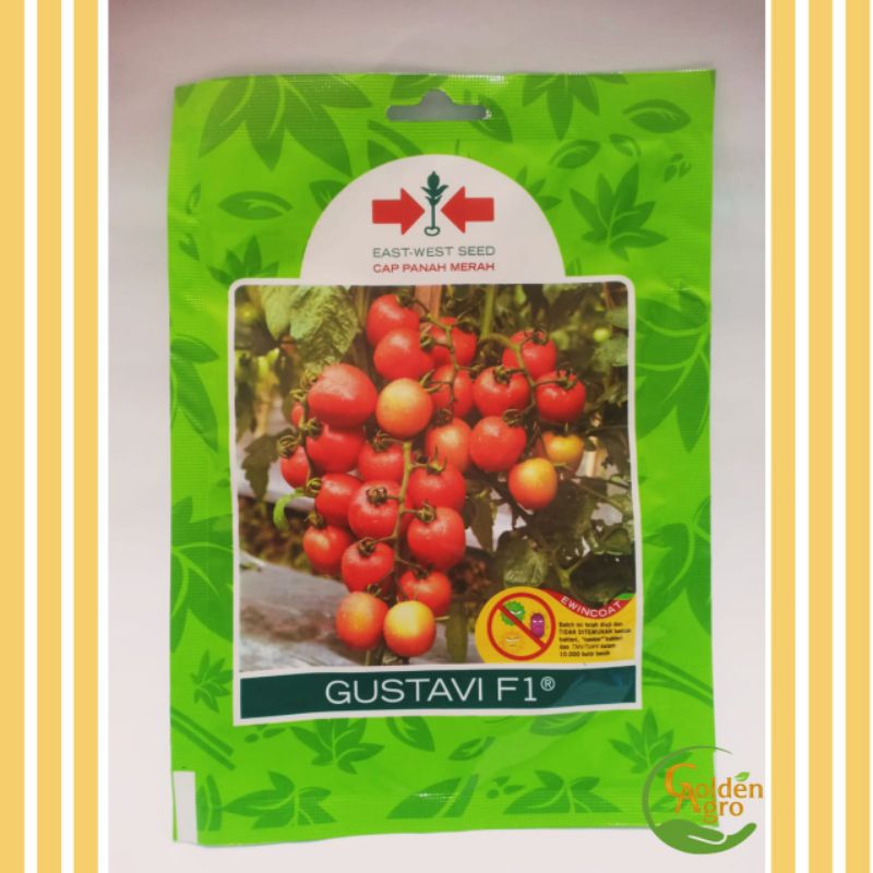 Jual BENIH BIBIT TOMAT GUSTAVI F1 150 BUTIR JAMINAN ORIGINALl | Shopee ...