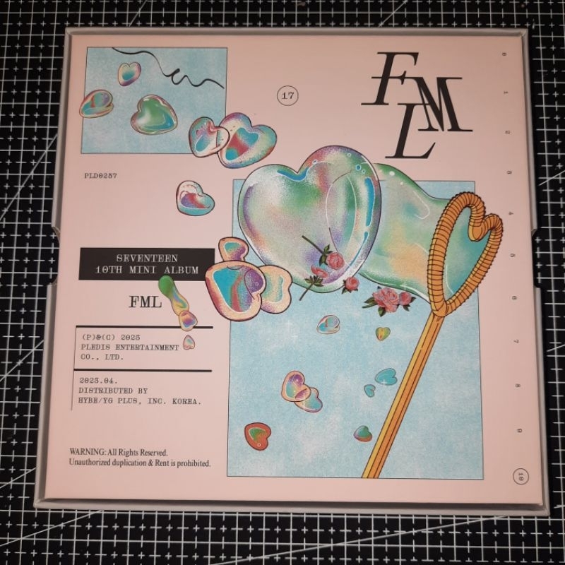 Jual [READY STOCK] BINDER ONLY CARAT VERSION FML SEVENTEEN 10TH MINI ...
