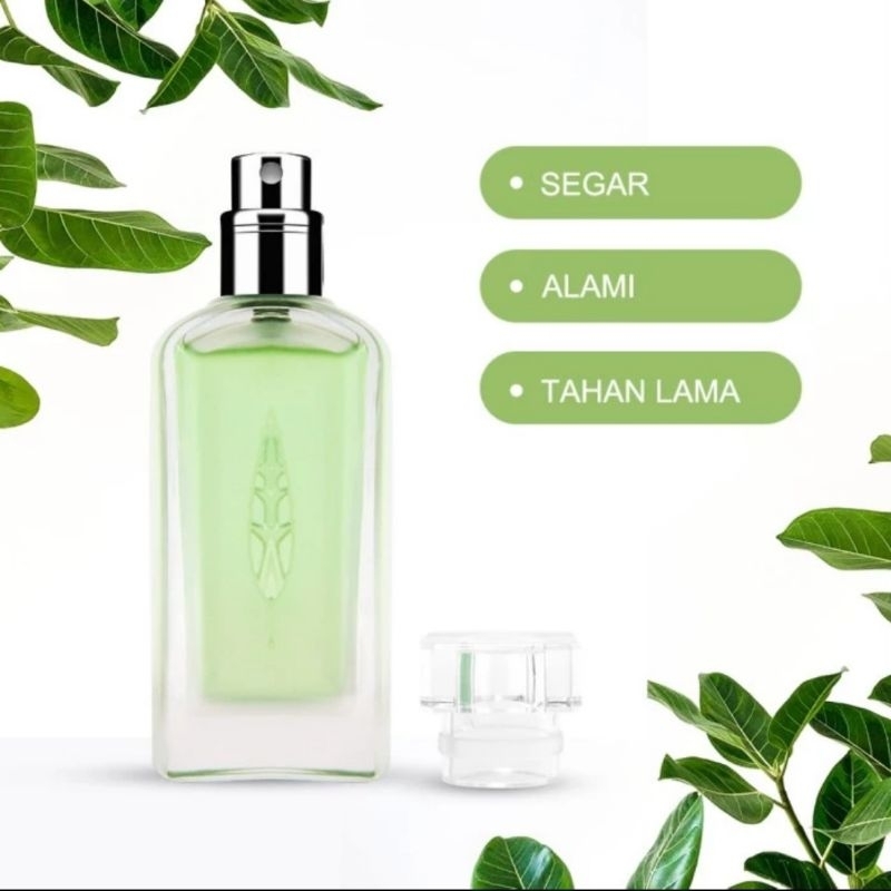 Jual Parfum Miniso Green Tea 30ml | Shopee Indonesia