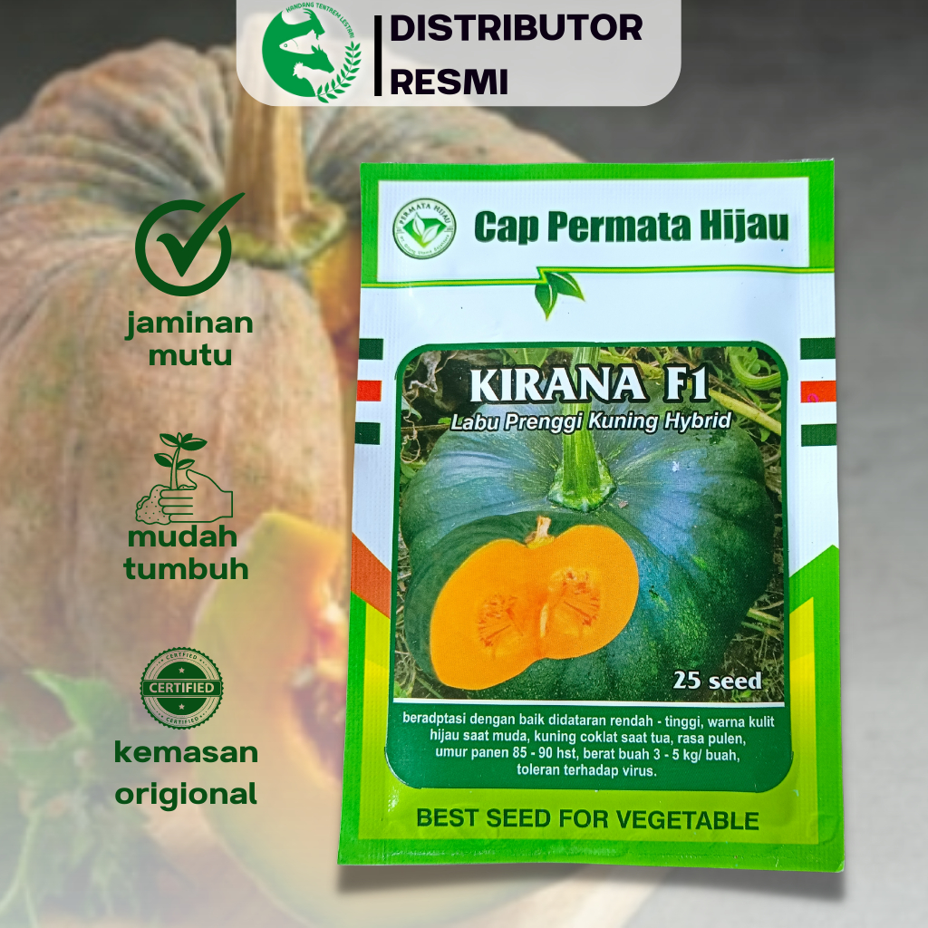 Jual Benih Biji Labu Kuning Besar KIRANA F1 25 Seed Asli Cap PERMATA ...