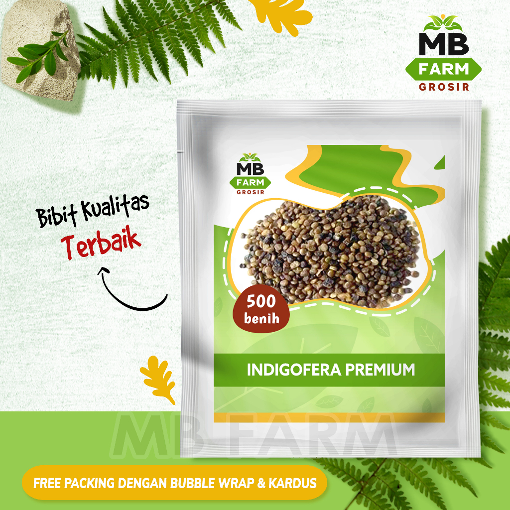 Jual Benih indigofera super terbaik MB FARM GROSIR / Benih pakan ternak ...