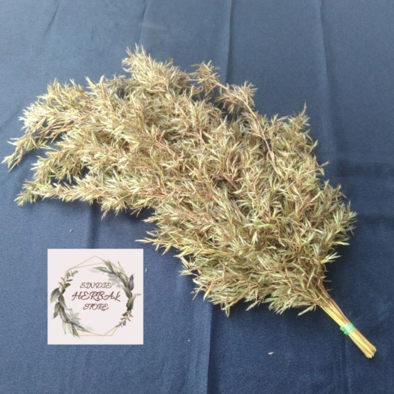 Jual Bunga Serai Wangi Serai Merah Lanang Per 15 Tangkai | Shopee Indonesia