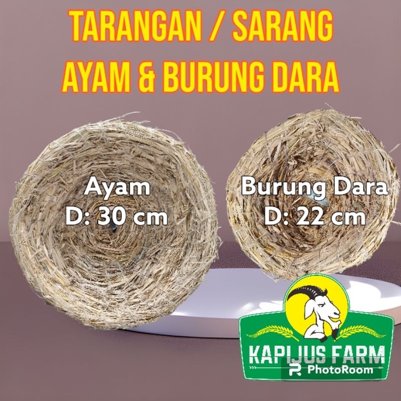 Jual TARANGAN SARANG AYAM / SARANG BURUNG / SUSUH SERAT JERAMI ANYAMAN ...