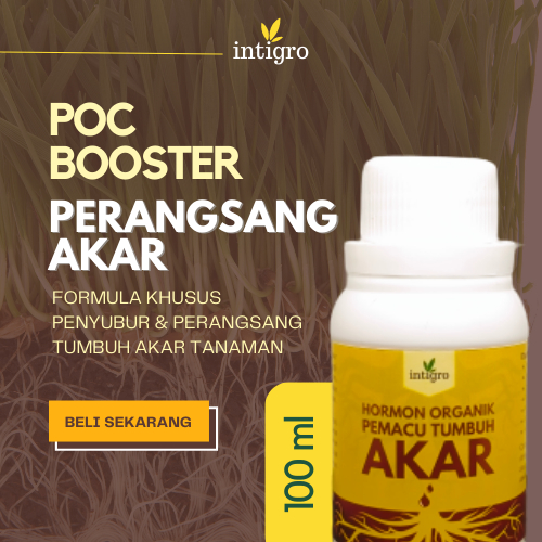 Jual Pupuk Penumbuh Akar Tanaman / Pupuk Perangsang Akar Tanaman dan ...