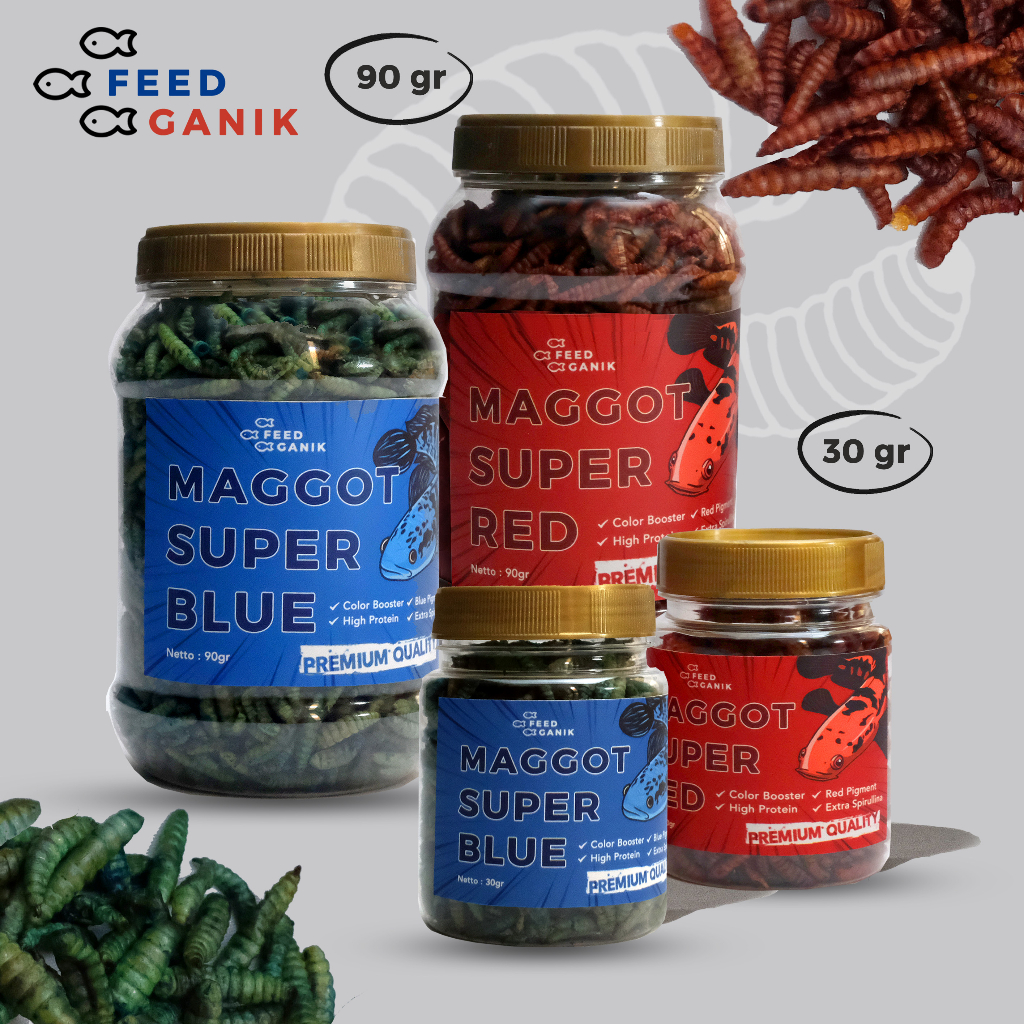 Jual Maggot BSF Maggot Magot Kering BLUE - RED COLOR BOOSTER Feedganik ...