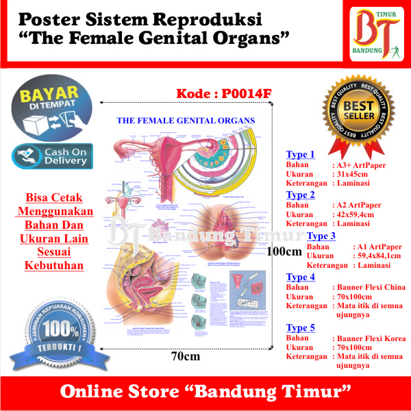 Jual POSTER SISTEM REPRODUKSI THE FEMALE GENITAL ORGANS | Shopee Indonesia