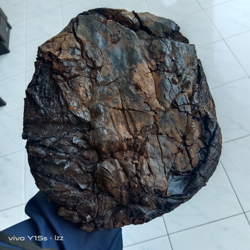 Jual Getah gaharu padat asli super wangi 1 kg | Shopee Indonesia