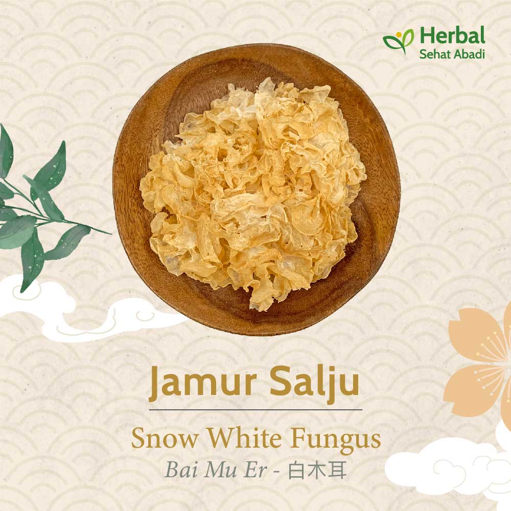 Jual Jamur Salju / Jamur Putih / White Fungus / Bai Mu Er | Shopee ...