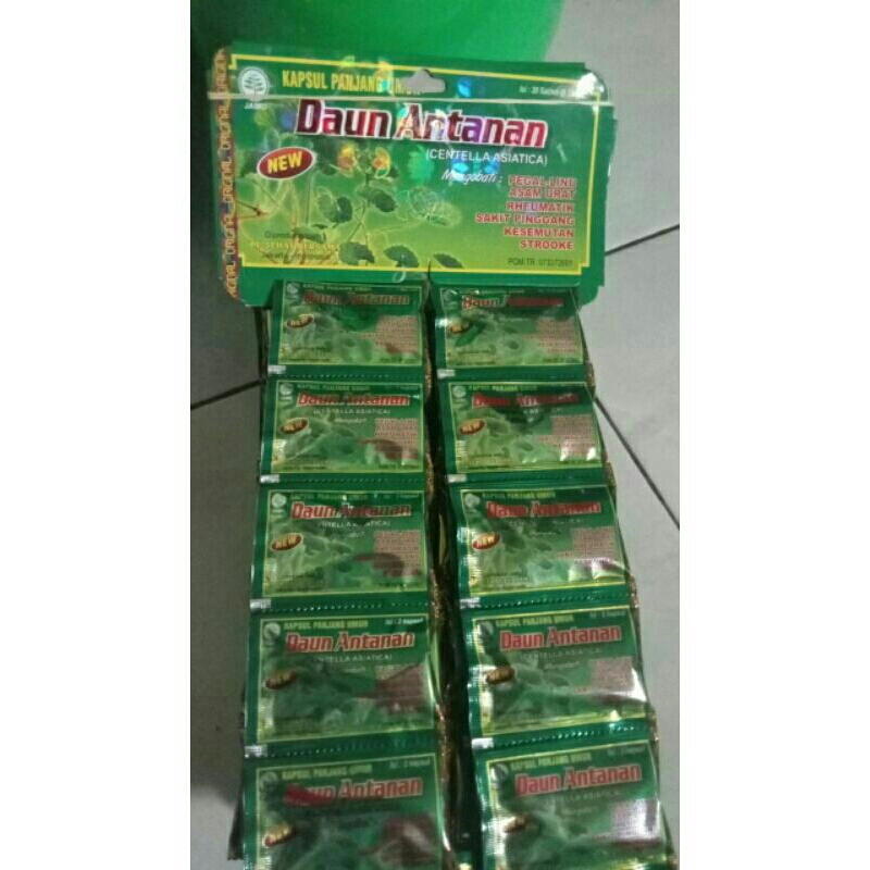 Jual Paket 50 Renceng Kapsul Daun Àntanan Original | Shopee Indonesia