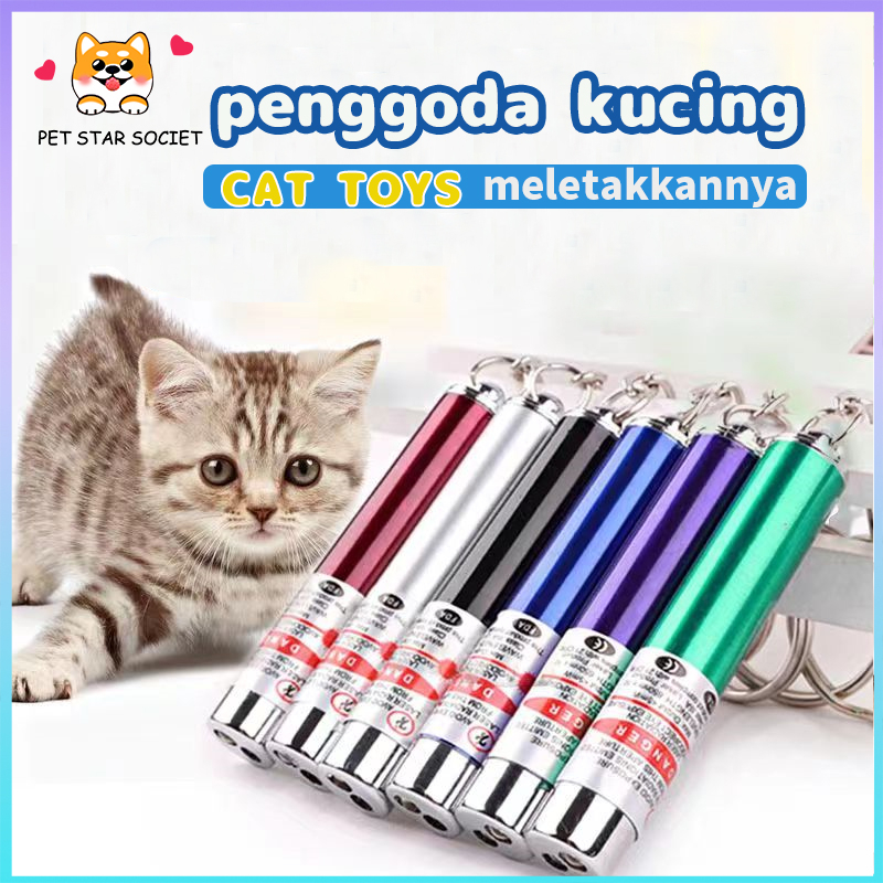 Jual Mainan Kucing Laser Cat Toys Laser Pointer Kucing Anjing | Shopee ...