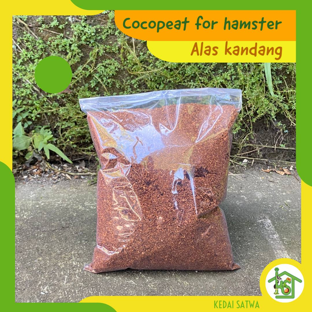 Jual Cocopeat for hamster | Coco peat alas hamster | Alas kandang ...