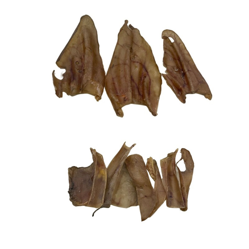 Jual Beef Ears 50gr Kuping Sapi Dehydrated Semi Furless Cow Ears Dog ...