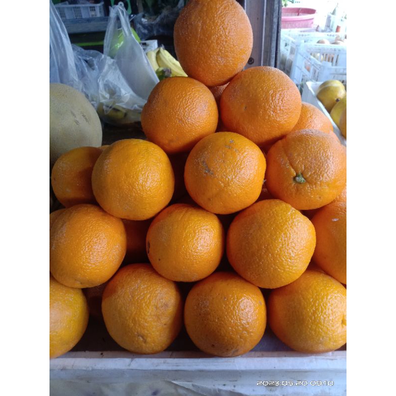 Jual JERUK SUNKIST MANIS JUICY 1000gr | Shopee Indonesia