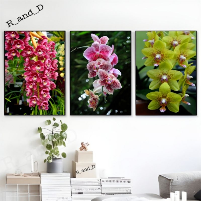 Jual Hiasan Dinding Gambar Bunga Anggrek Ukuran 47x31 Dekorasi Rumah ...