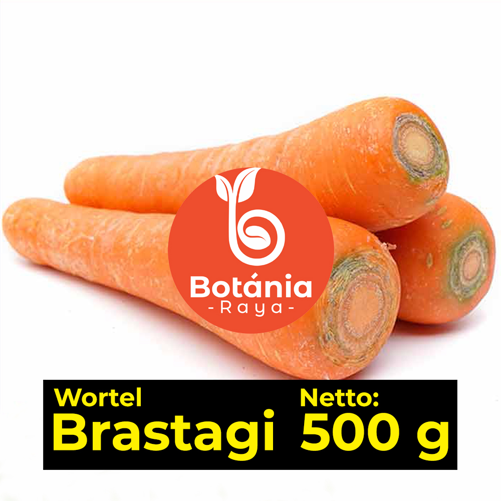 Jual BOTANIA RAYA Wortel brastagi / berastagi 500 g | Shopee Indonesia