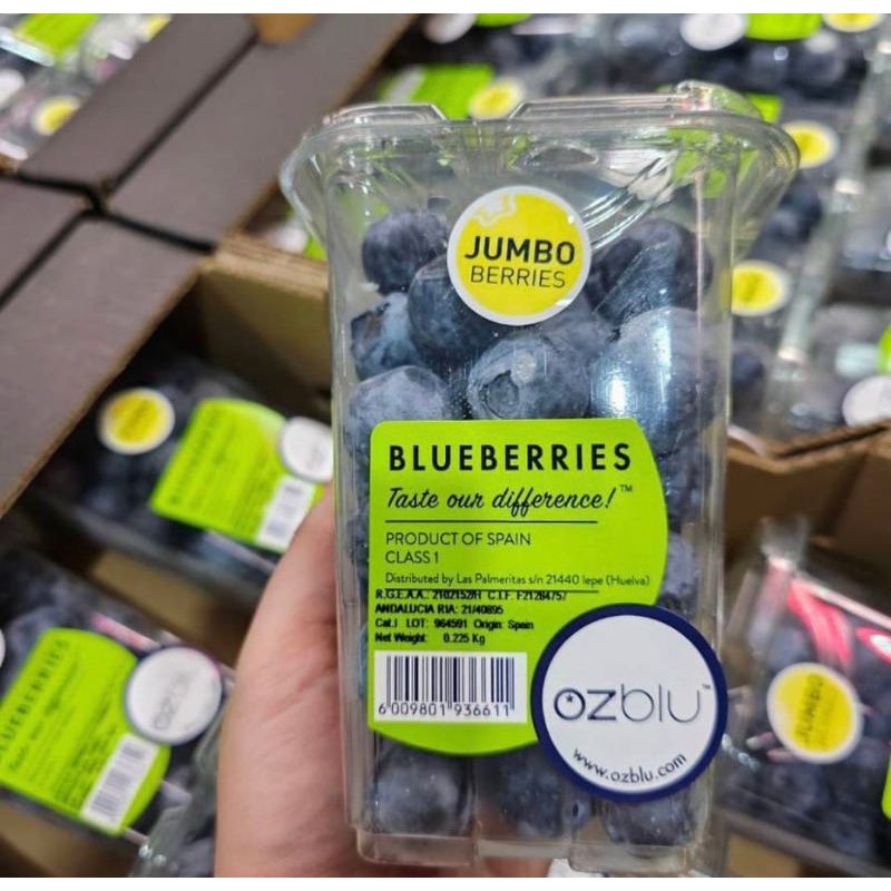 Jual Blueberry Jumbo Fresh Import 1 pack | Shopee Indonesia