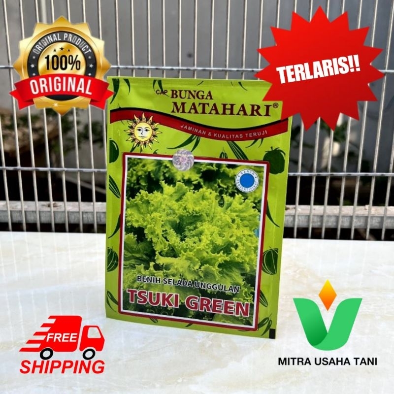 Jual TERLARIS! Benih Selada Tsuki Green 15 gr Cap Bunga Matahari ASLI ...