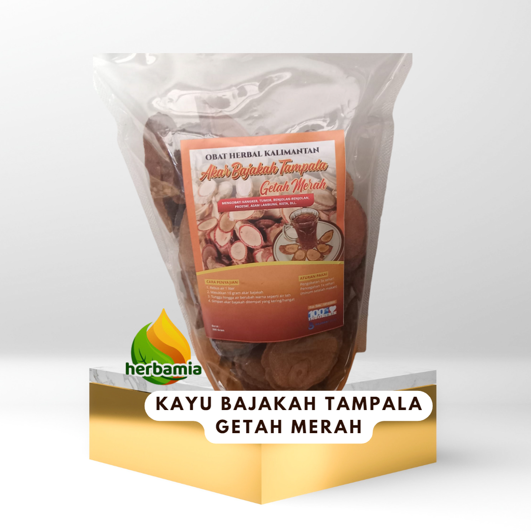 Jual Kayu Akar Bajakah Tampala Getah Merah dan kalalawit Asli ...