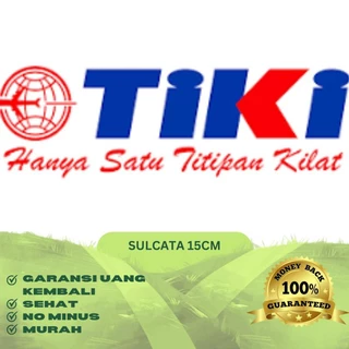Jual Tiki Terlengkap & Harga Terbaru Maret 2026 | Shopee Indonesia