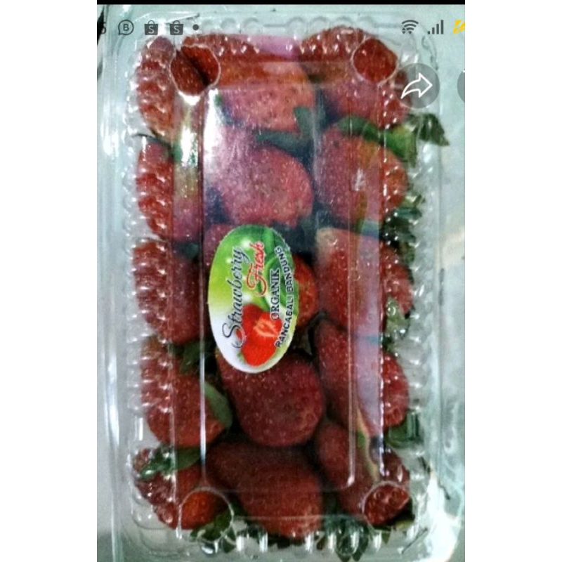 Jual Buah stroberi | Shopee Indonesia