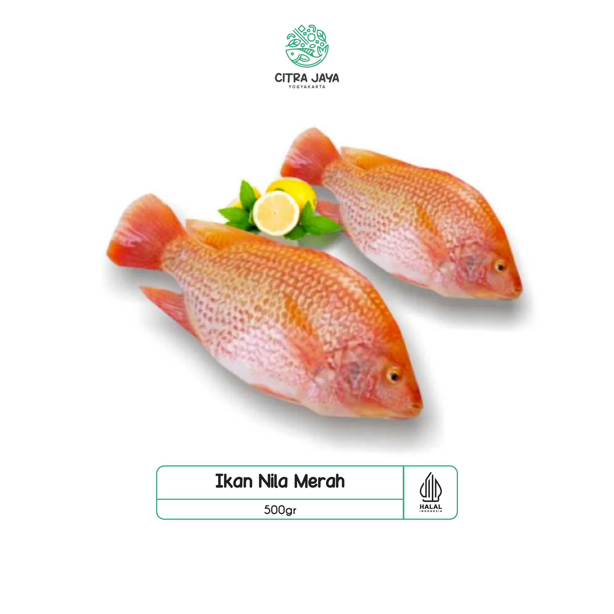 Jual Ikan Nila Merah 500g - Citra Jaya Yogyakarta | Shopee Indonesia