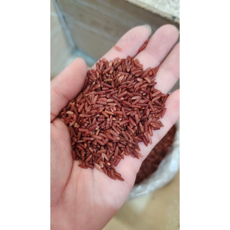 Jual beras merah organik 5kg | Shopee Indonesia
