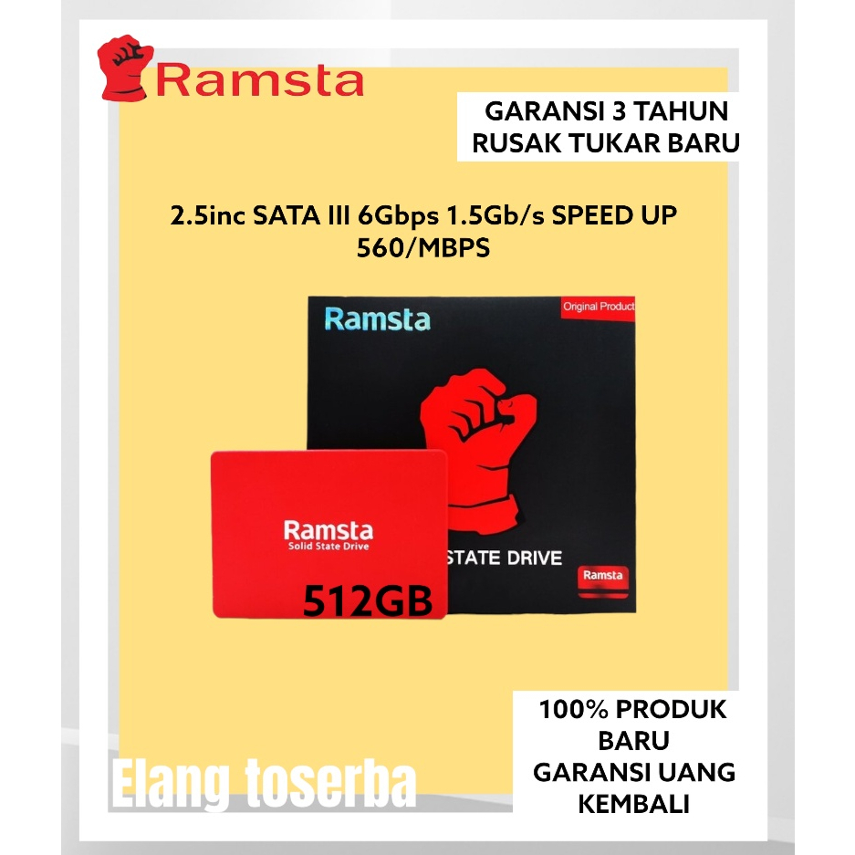 Jual SSD RAMSTA 512 GB SATA III 2.5inch S800 SSD | Shopee Indonesia