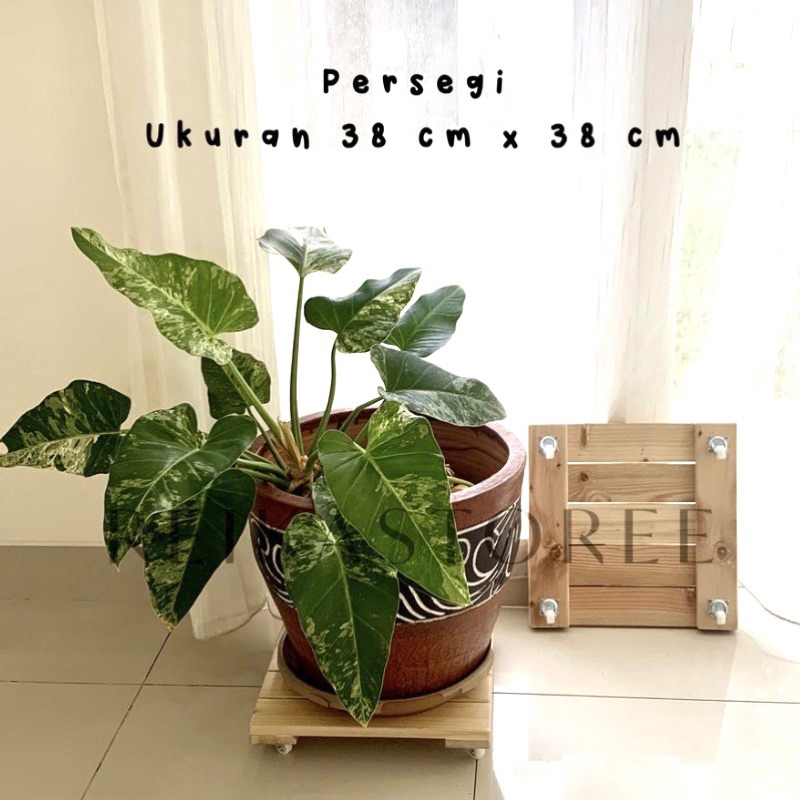 Jual Tatakan Alas Pot Kayu roda putih EXPORT QUALITY - Kotak 38 cm ...