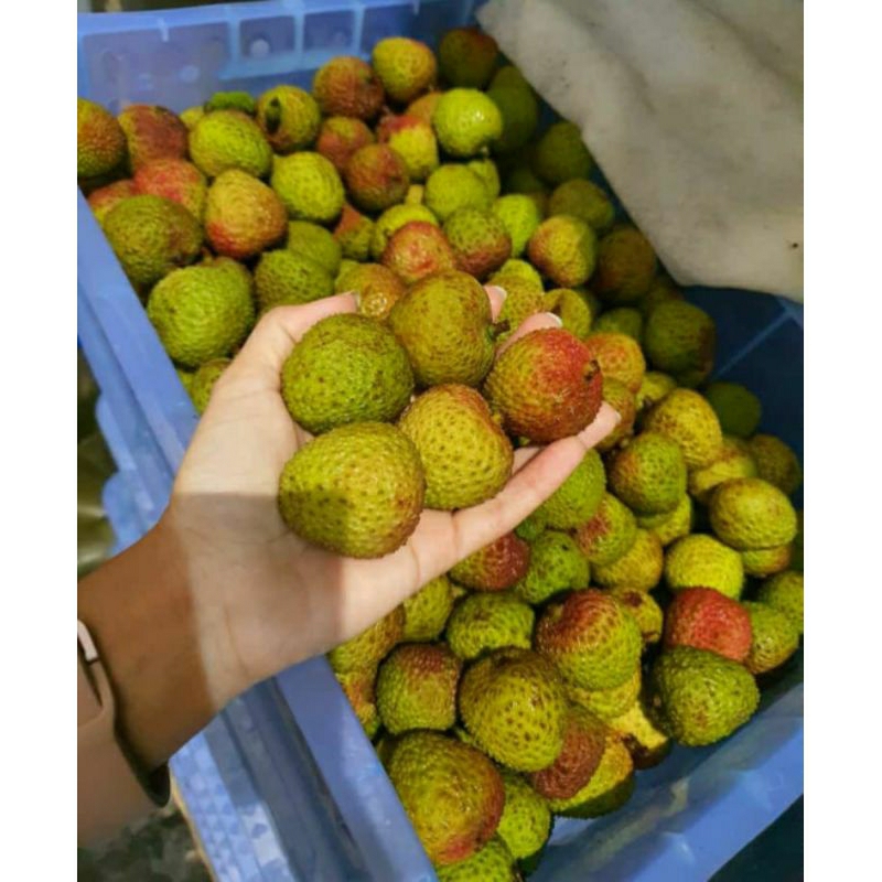 Jual Leci RRC import 1kg | Shopee Indonesia