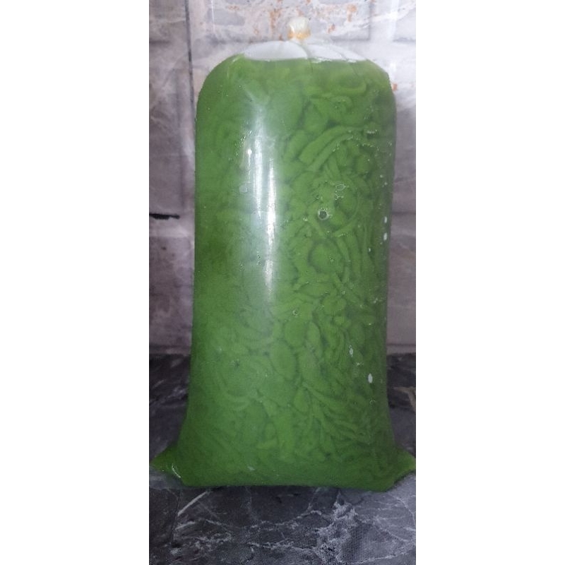 Jual Cendol Asli Daun Suji saja Cendol Saja Cendol Hijau Minuman Sehat ...