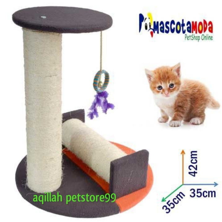 Jual Mainan kucing penggaruk alat interaktiv HARGA PROMO hanya di ...