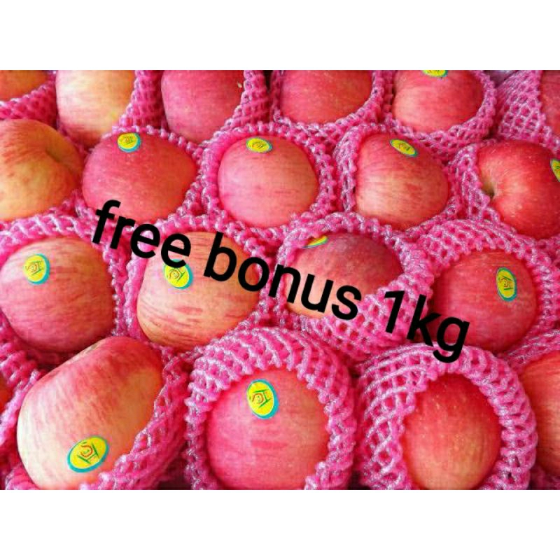 Jual apel fuji 1kg +gratis bonus | Shopee Indonesia