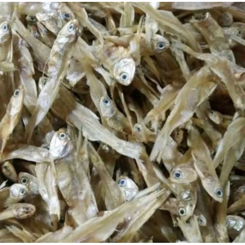 Jual Teri Medan Teri Nasi Teri Jengki Teri Daging Teri Tawar Shopee
