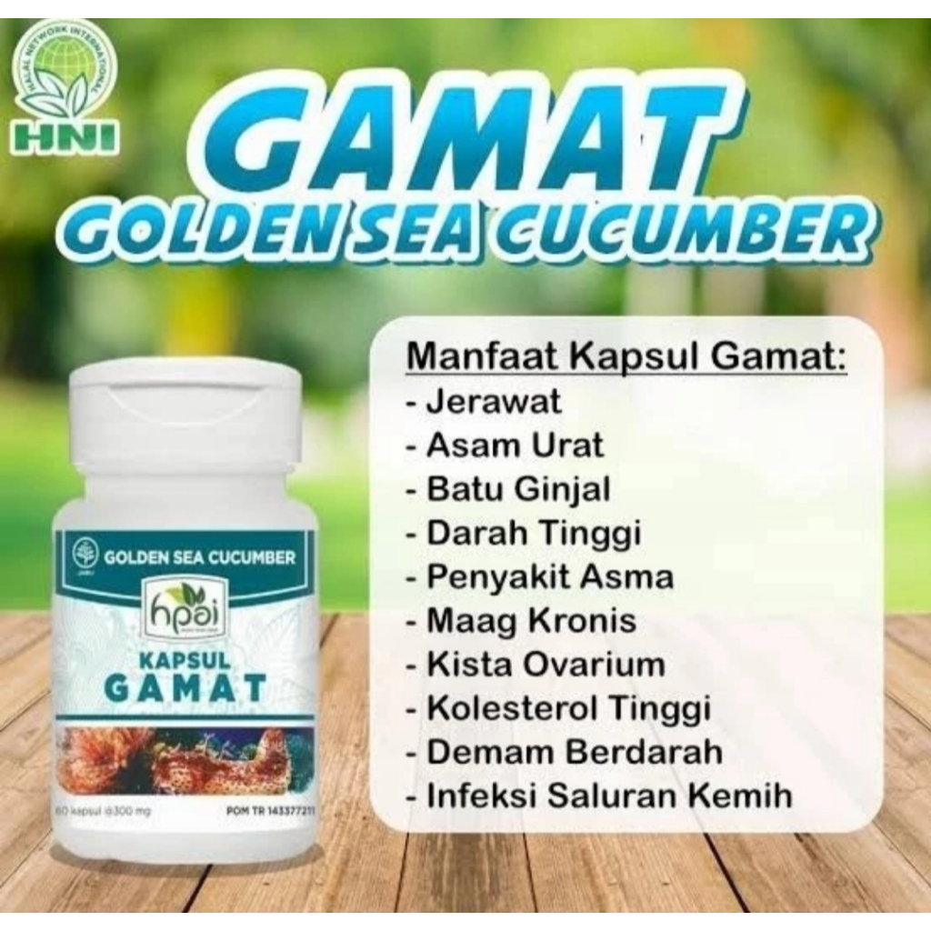 Jual Gamat Kapsul isi 60 kapsul Original HNI HPAI - Teripang Emas ...