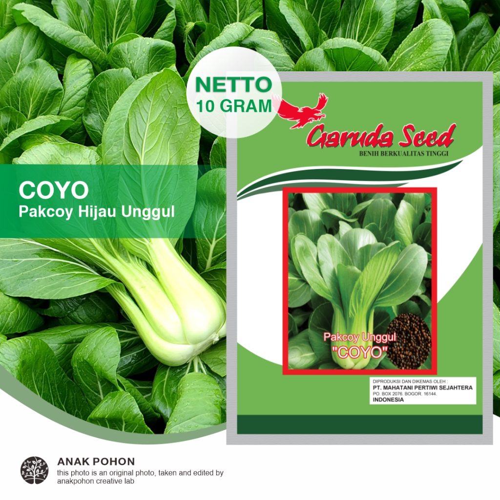 Jual (1 PACK) Benih Pakcoy Hijau COYO Pak Choi Unggul Seeds - Garuda ...