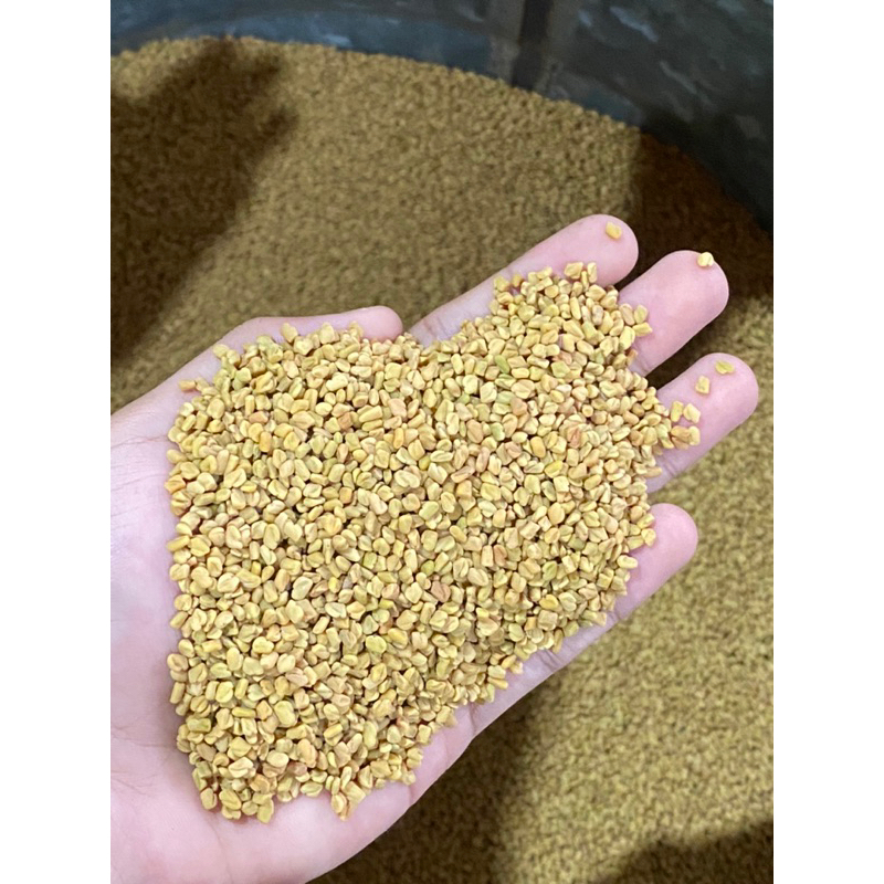 Jual klabet / Helbe / Klabet kemasan 1kg / klabet fenugreek / Klabet ...