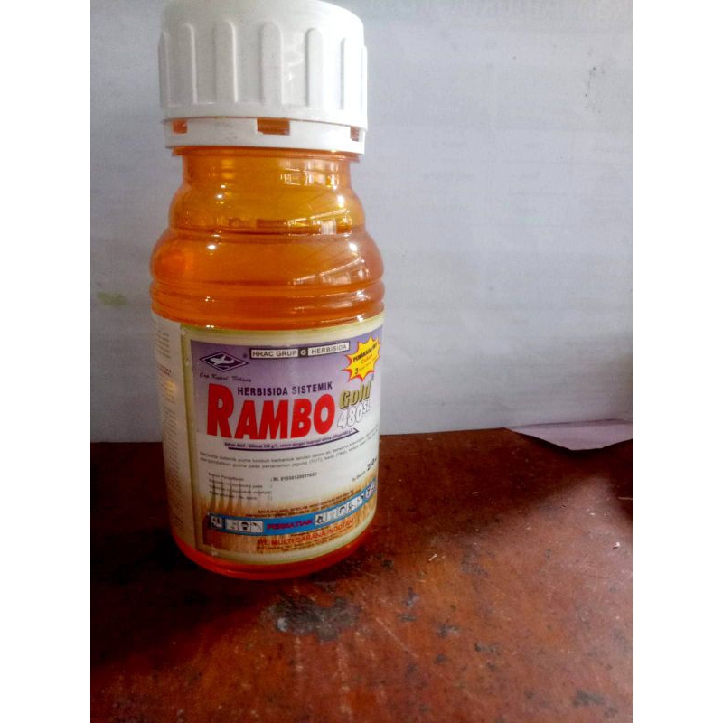 Jual RAMBO GOLD 480 SL 250 ML HERBISIDA PEMBASMI RUMPUT GULMA | Shopee ...