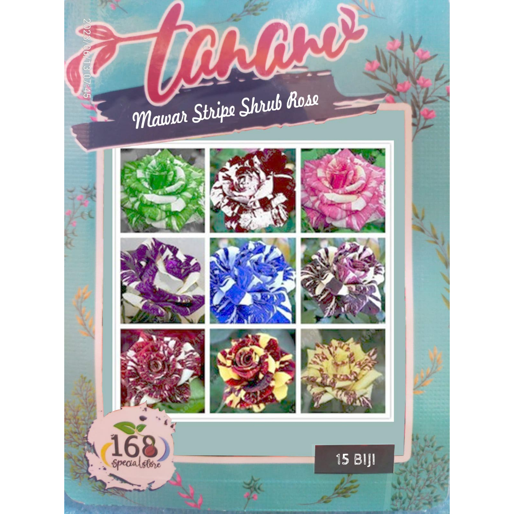 Jual Biji Bunga Mawar Stripe Shrub Rose Seeds (Isi 15 biji) | Shopee ...