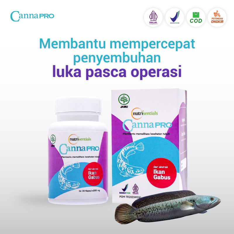 Jual NUTRISENTIALS CANNAPRO Kapsul Kutuk - Kapsul Ikan Gabus Albumin - Luka Pasca Operasi Cepat ...