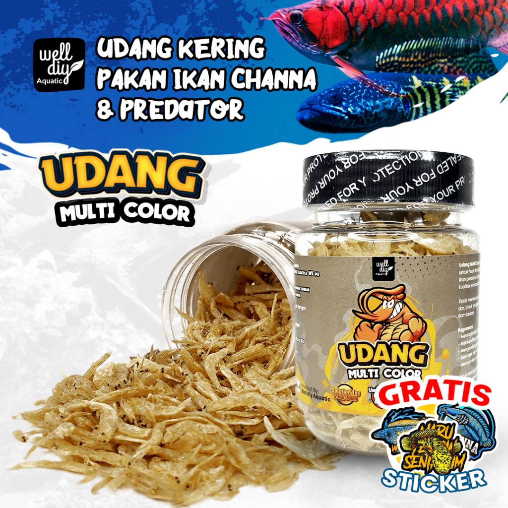 Jual Udang Kering MULTI COLOR Pakan Ikan Chana Channa Predator Arowana ...
