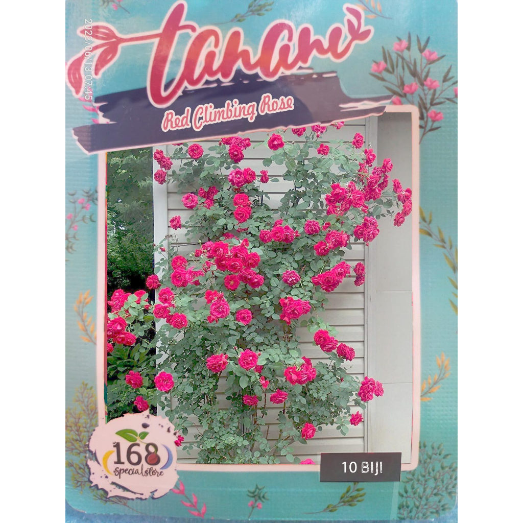 Jual Benih Bunga Mawar Rambat Merah (Red Climbing Rose) (Isi 10 biji ...